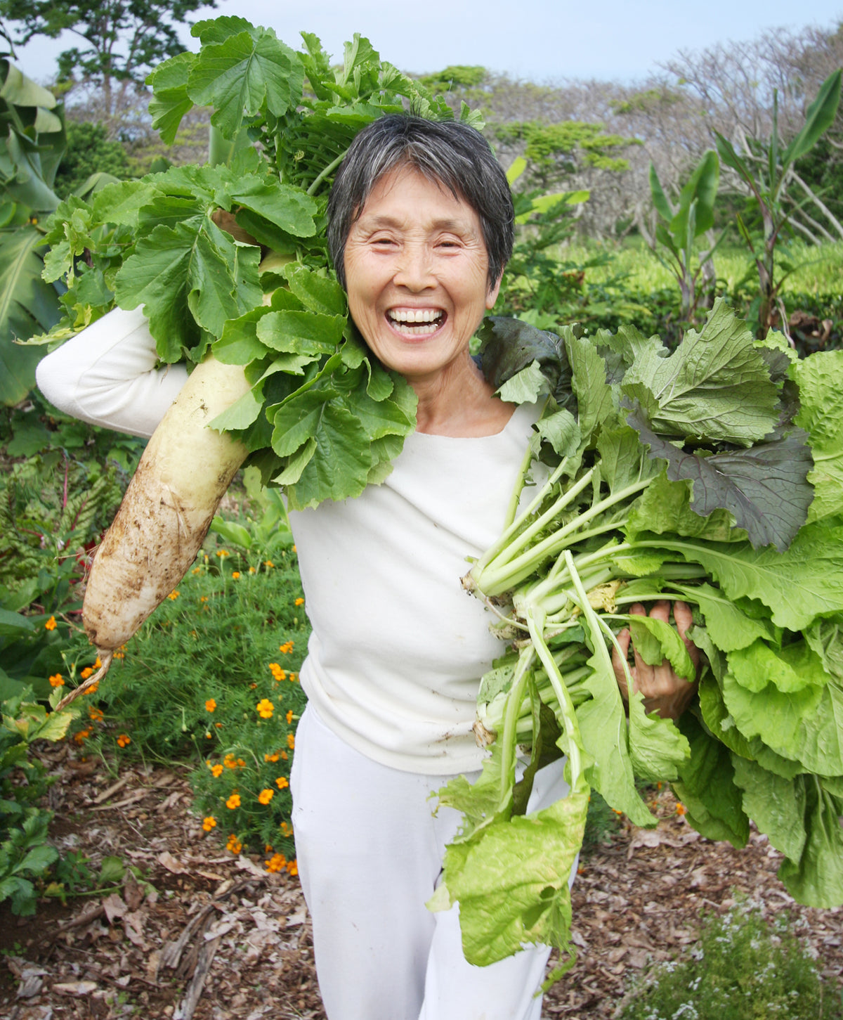 Mayumi Oda Artist | Matisse of Japan